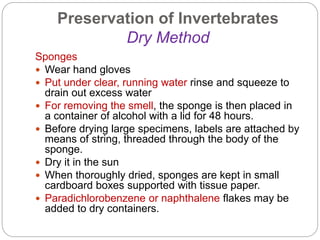 Fixation and preservation of Invertebrates | PPTX