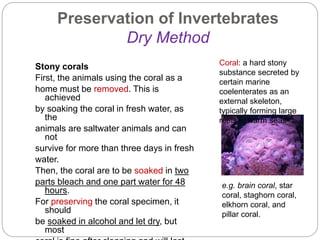 Fixation and preservation of Invertebrates | PPTX