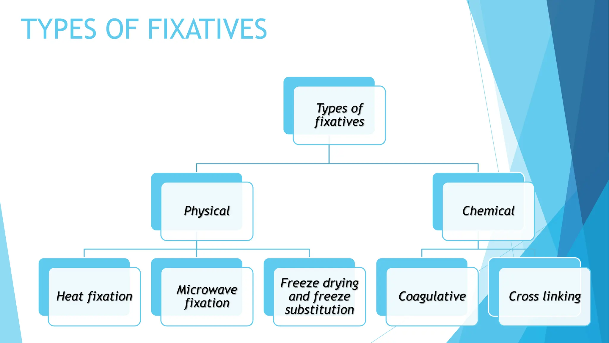 FIXATION AND PROCESSING OF TISSUE SPECIMEN.pptx