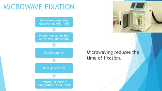 FIXATION AND PROCESSING OF TISSUE SPECIMEN.pptx