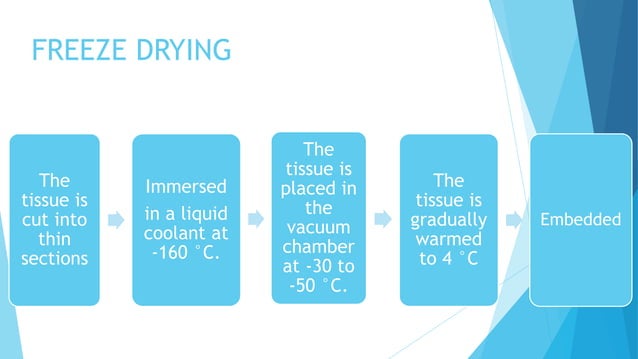 FIXATION AND PROCESSING OF TISSUE SPECIMEN.pptx