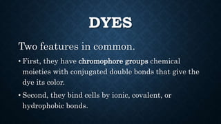 Staining Specimens and Identifying Microbes | PPT