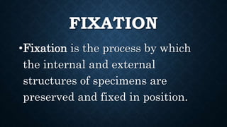 Staining Specimens and Identifying Microbes | PPT