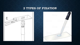 Staining Specimens and Identifying Microbes | PPT