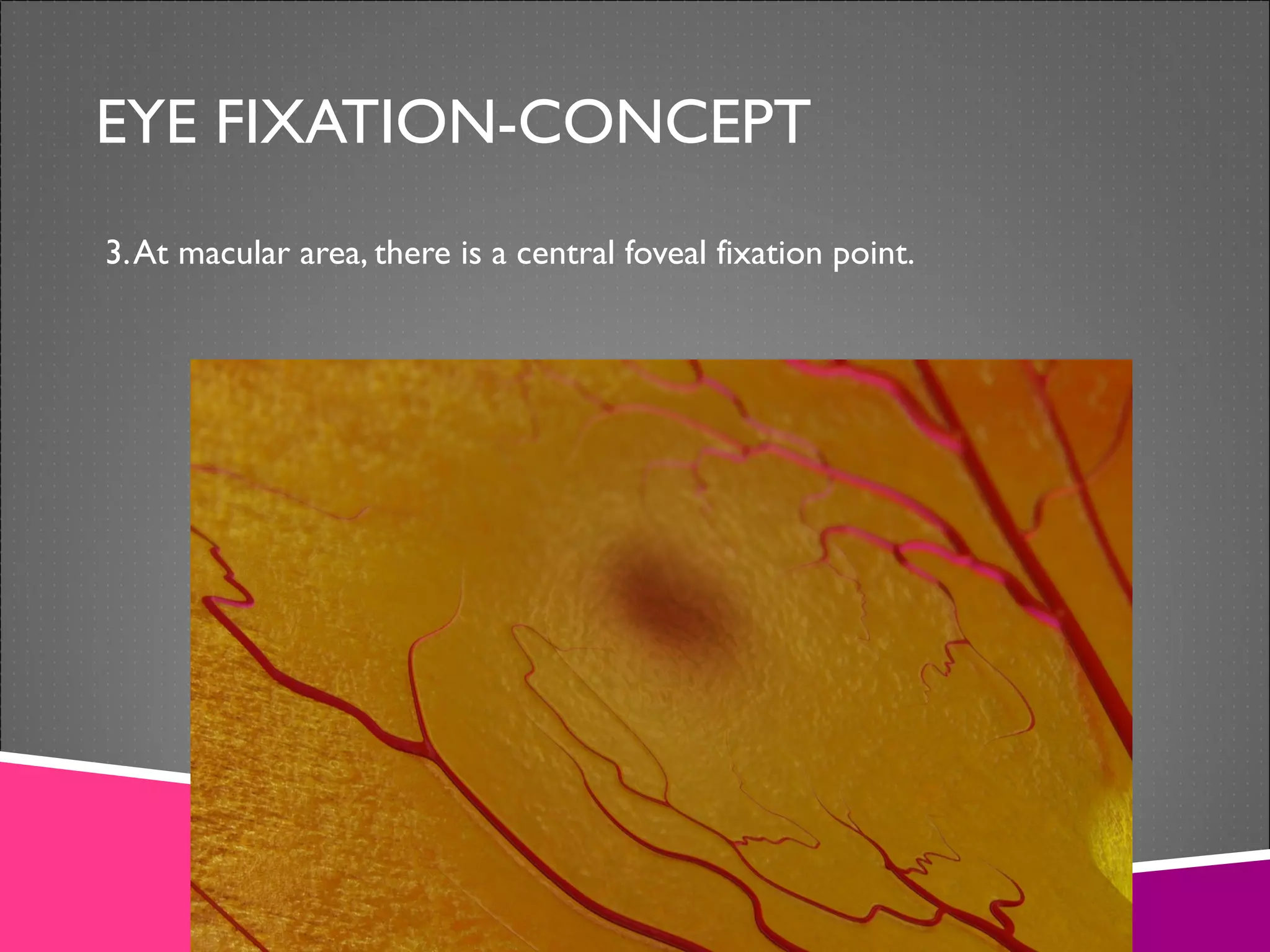 Fixation Characteristics And Abnormalities Ppt Computer Animation