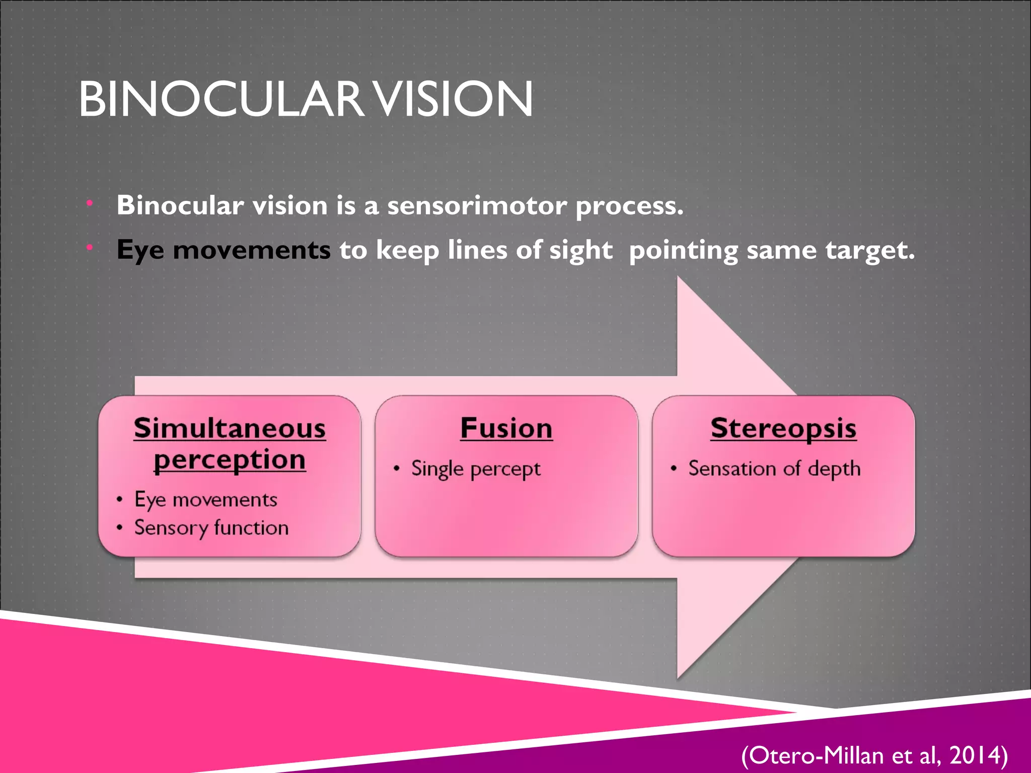 Fixation Characteristics And Abnormalities Ppt Computer Animation