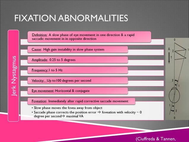 Fixation Characteristics And Abnormalities Ppt Computer Animation