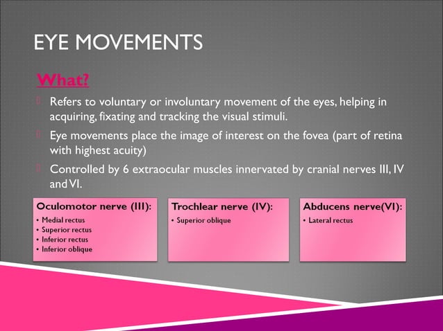 Fixation characteristics and abnormalities | PPT | Computer Animation ...