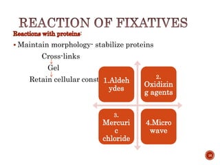 Fixation & fixatives in histopathology, dr naveen reddy | PPTX