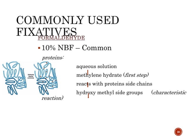 Fixation & fixatives in histopathology, dr naveen reddy | PPTX