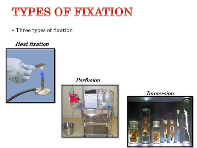 Fixation & fixatives in histopathology, dr naveen reddy | PPTX