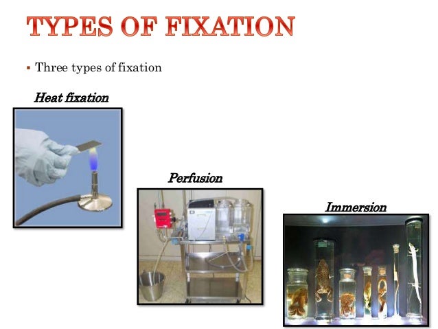 Fixation & fixatives in histopathology, dr naveen reddy