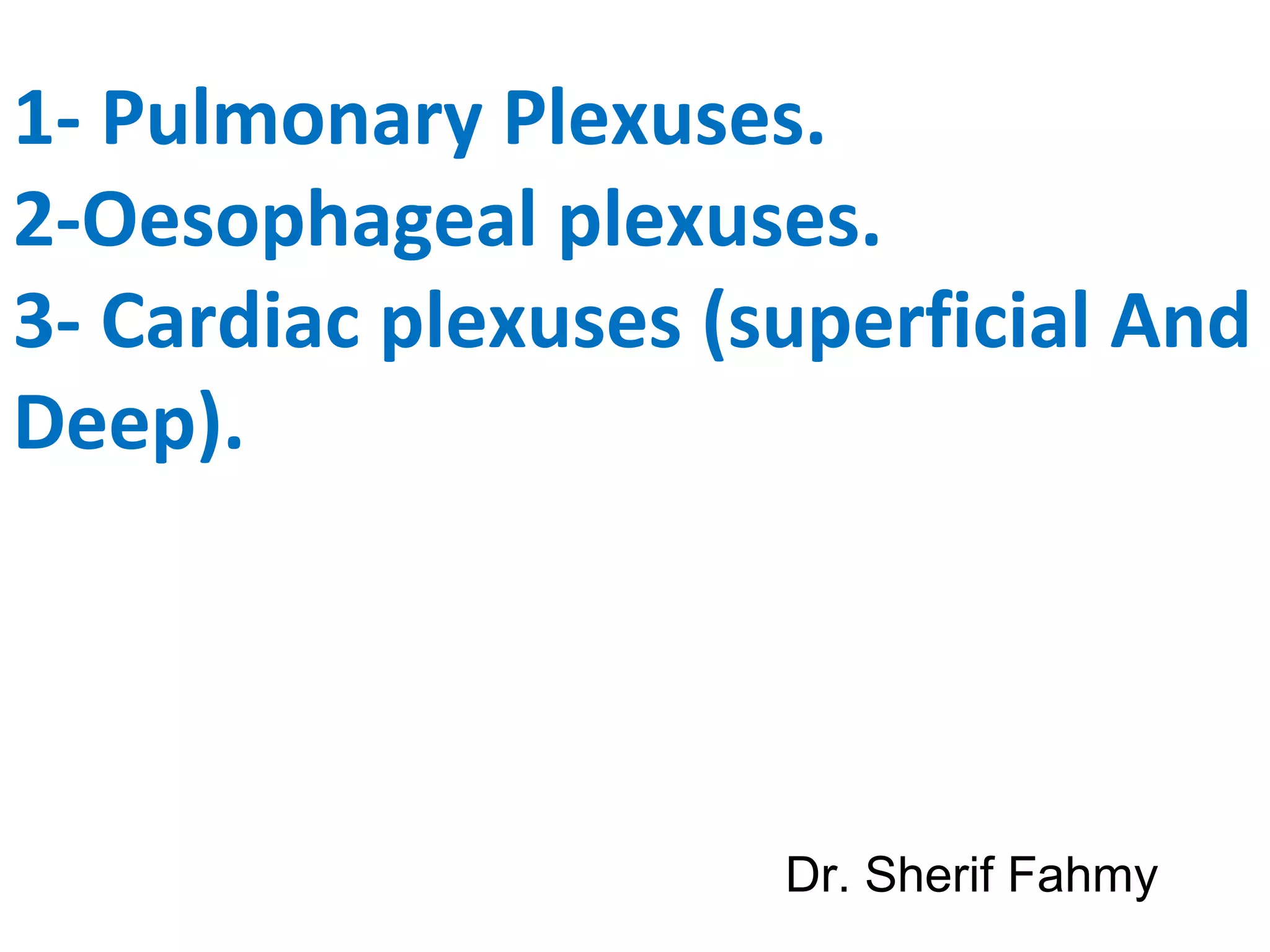Fixation of the Heart, Sympathetic Chain, Autonomic Plexuses ...