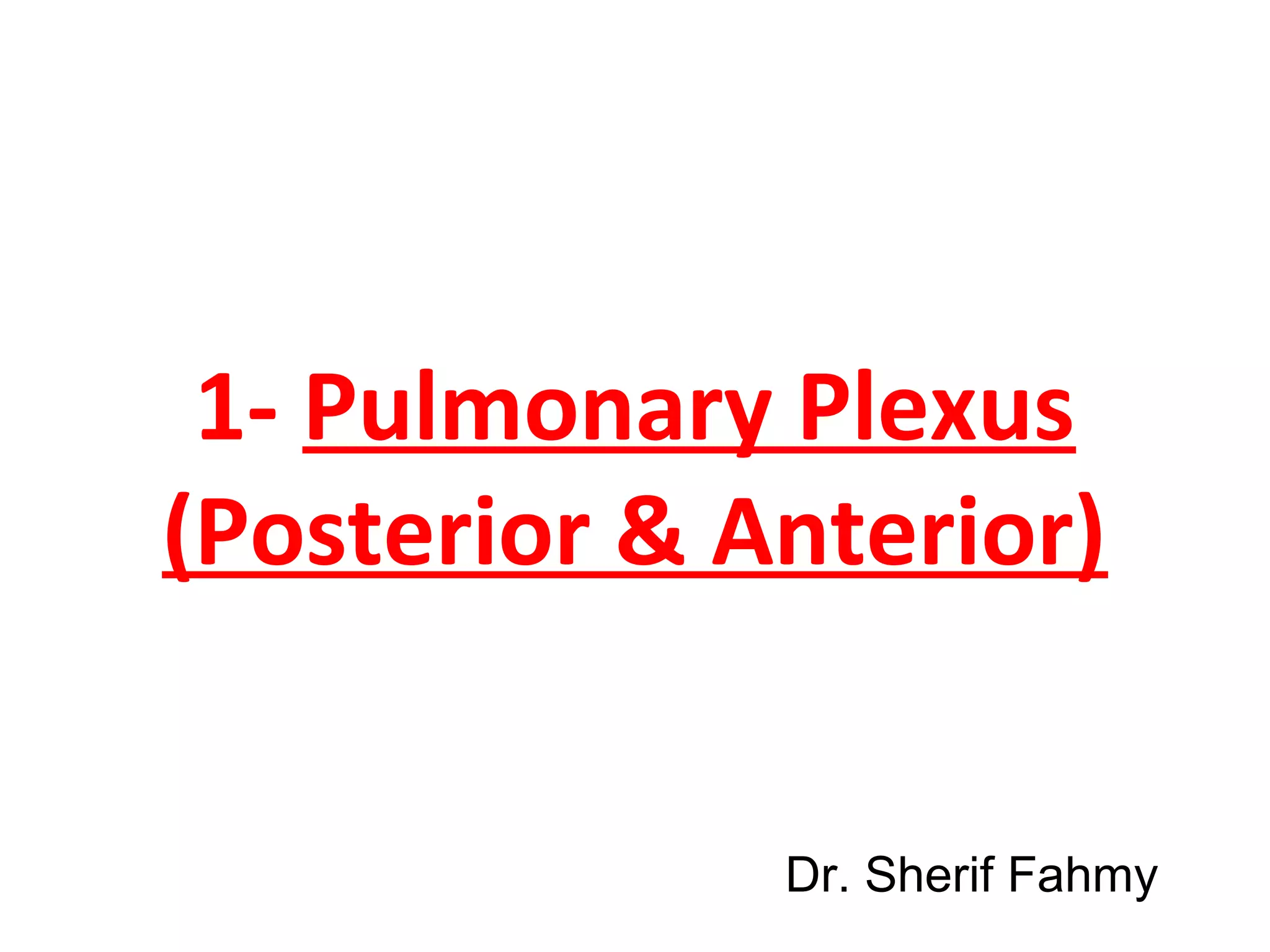 Fixation of the Heart, Sympathetic Chain, Autonomic Plexuses ...