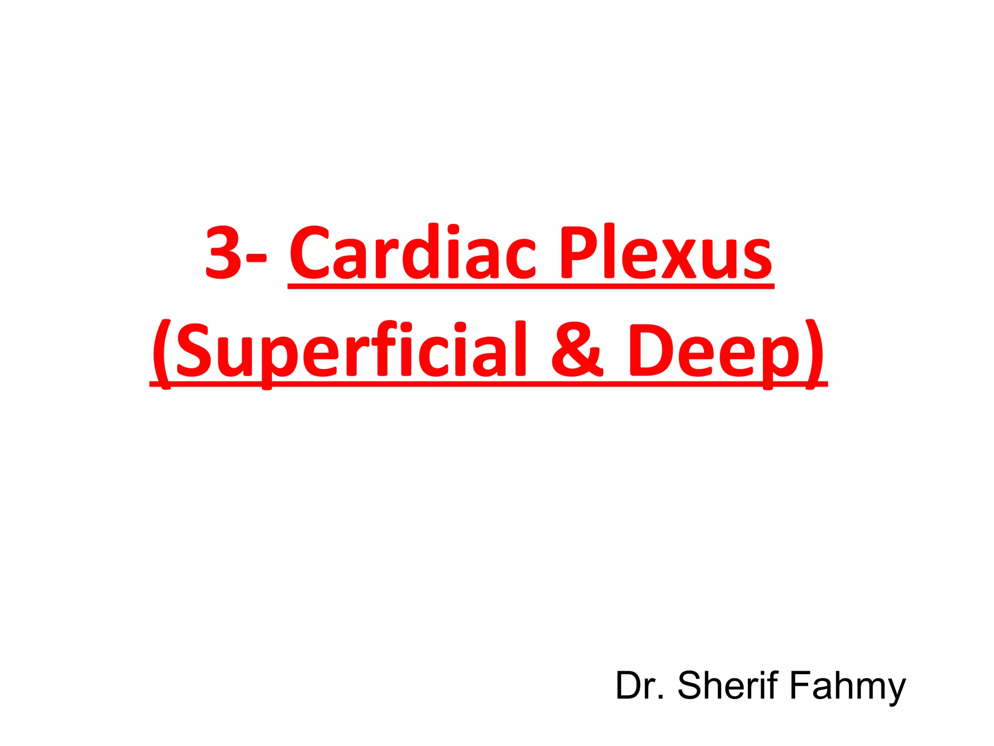 Fixation of the Heart, Sympathetic Chain, Autonomic Plexuses ...