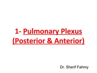 Fixation of the Heart, Sympathetic Chain, Autonomic Plexuses ...