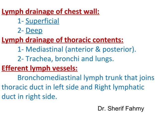 Fixation of the Heart, Sympathetic Chain, Autonomic Plexuses ...
