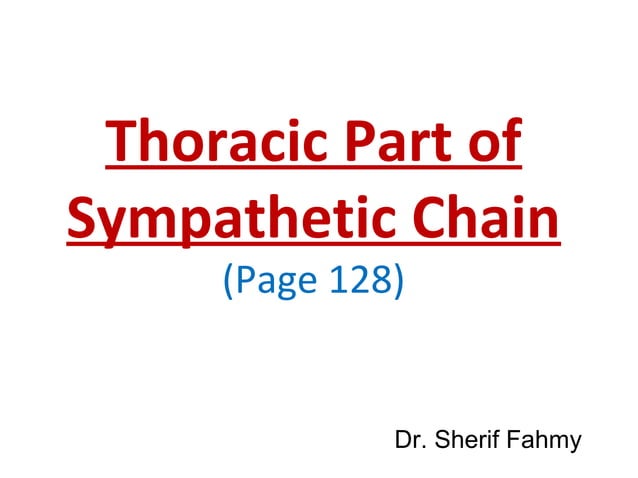 Fixation of the Heart, Sympathetic Chain, Autonomic Plexuses ...