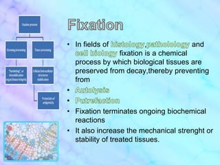 Fixation of special substances | PPT