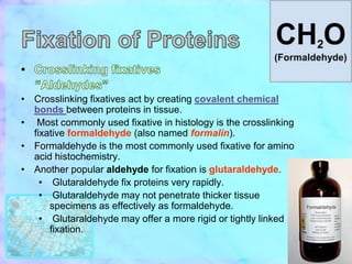 Fixation of special substances | PPT