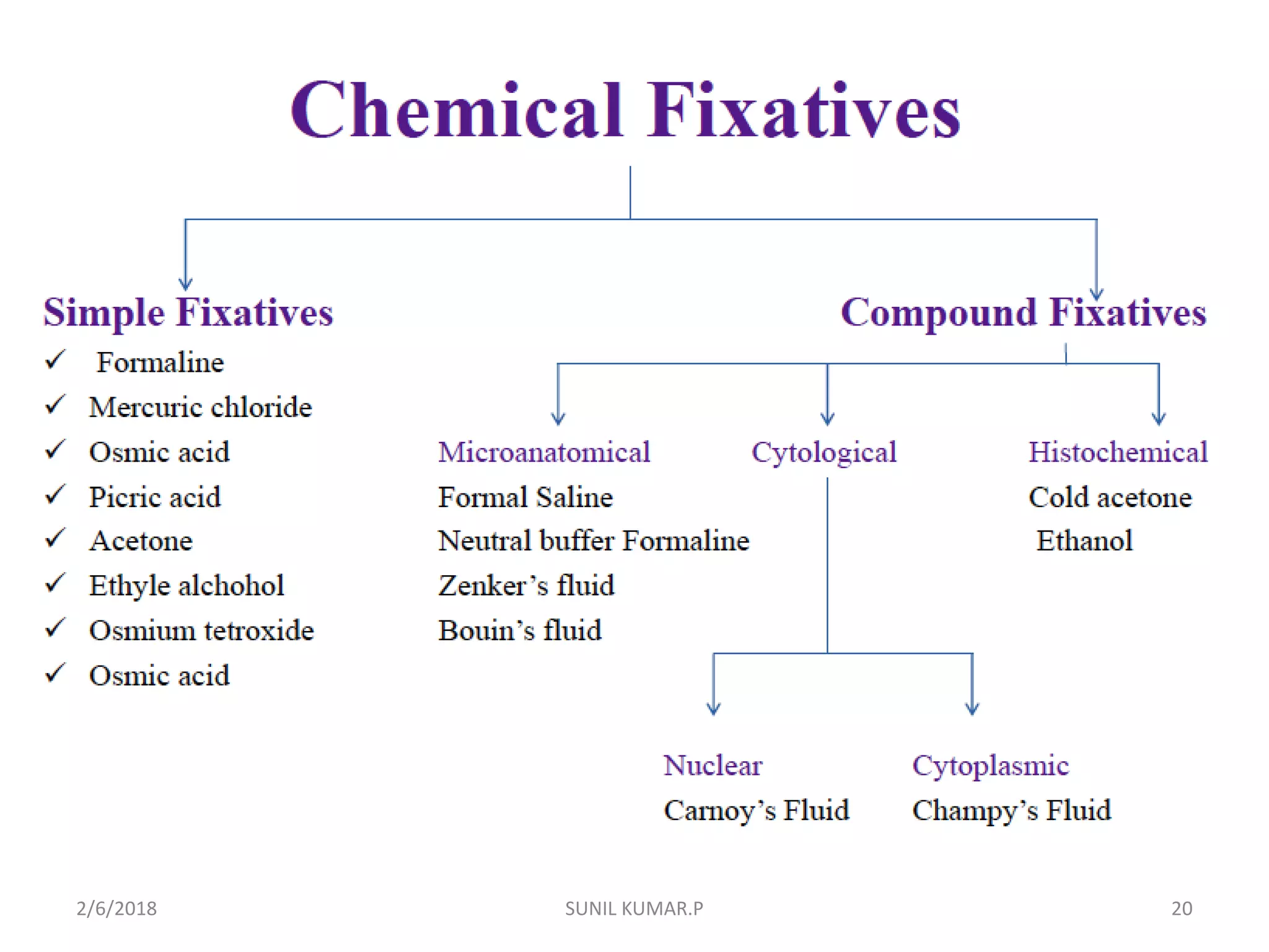 Fixation of tissues | PPTX