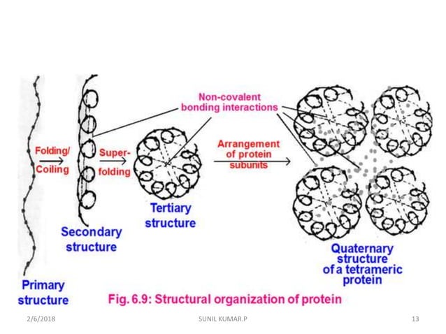 Fixation of tissues | PPTX | Chemistry | Science