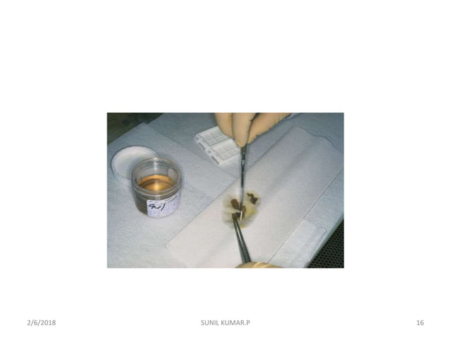 Fixation of tissues | PPTX | Chemistry | Science