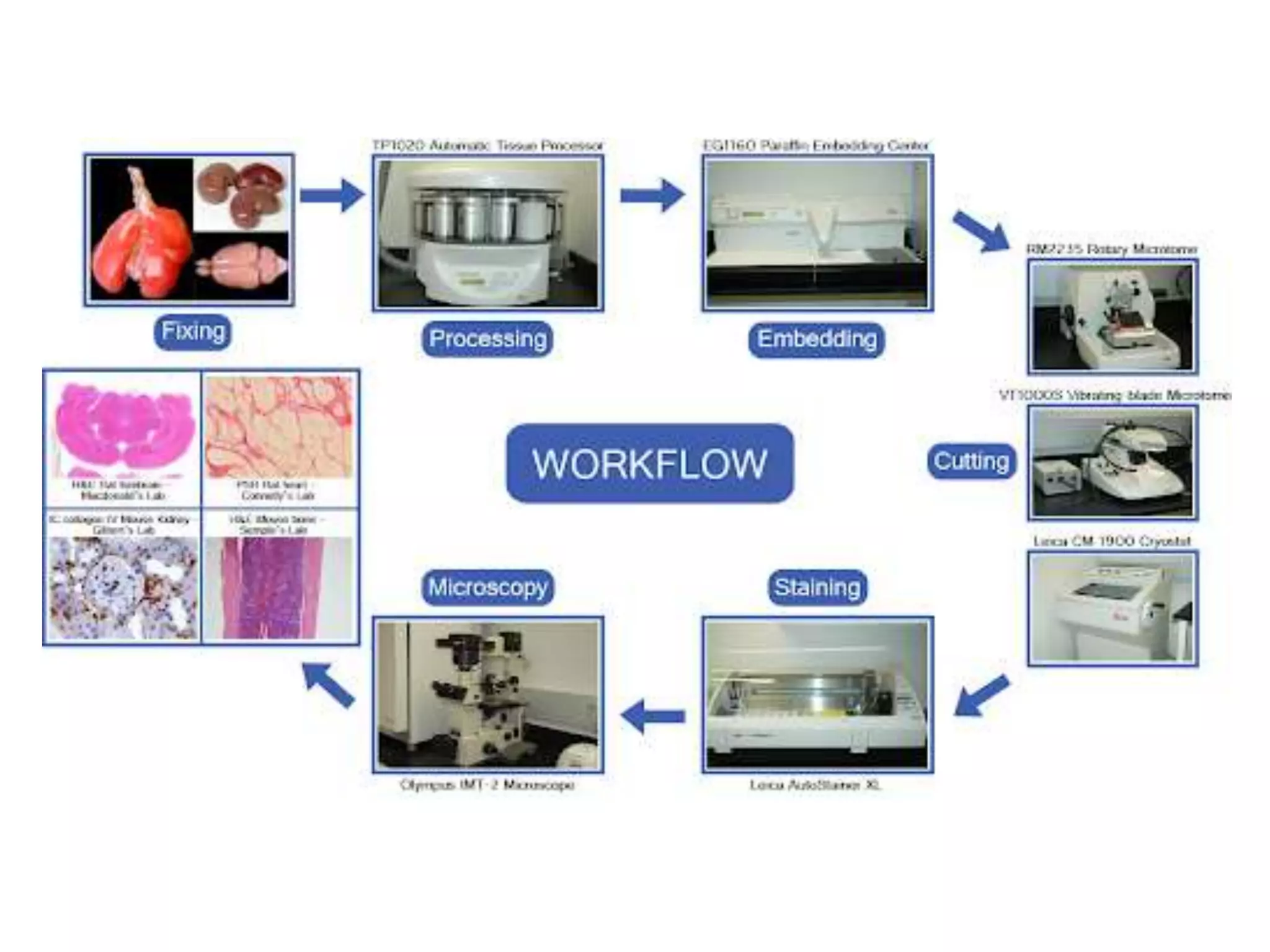 Histological Techniques: Section 2:Fixation of tissues | PPTX