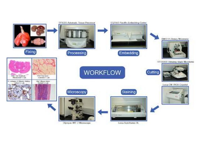 Histological Techniques: Section 2:Fixation of tissues | PPTX