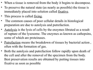 FIXATION Histopathology and Cytopathology | PPTX