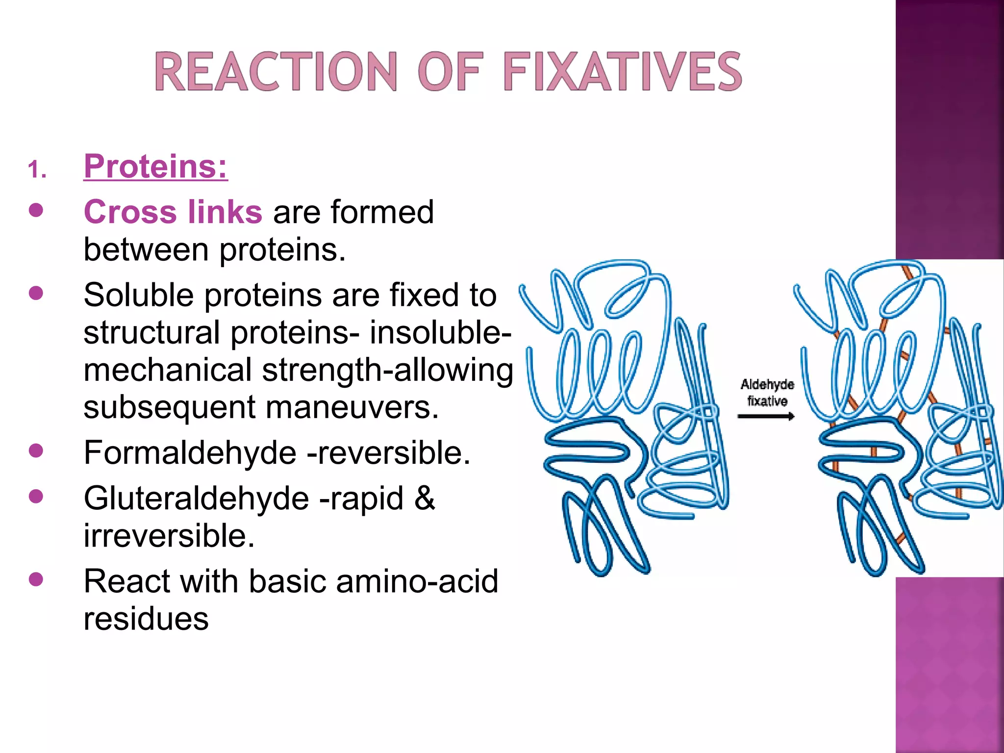 Fixatives | PPT