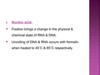 Fixatives | PPT