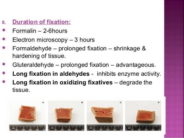 Fixatives