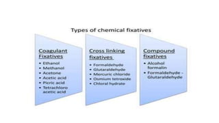 FIXATIVES in Pathology for Postgraduate and DMLT | PPTX