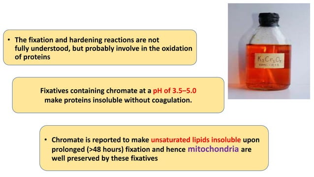 Fixatives used in tissue processing - Histopath techniques. | PPTX