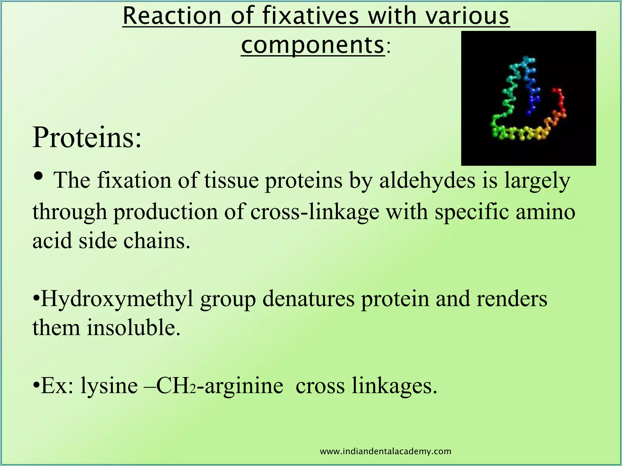 Fixatives and fixation/certified fixed orthodontic courses by Indian ...