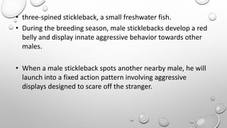 Fixed action pattern | PPTX