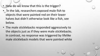 Fixed action pattern | PPTX