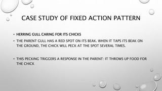 Fixed action pattern | PPTX