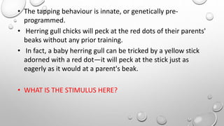 Fixed action pattern | PPTX