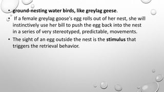 Fixed action pattern | PPTX