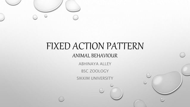 Understanding Fixed Action Patterns and Innate Releasing Mechanisms in ...