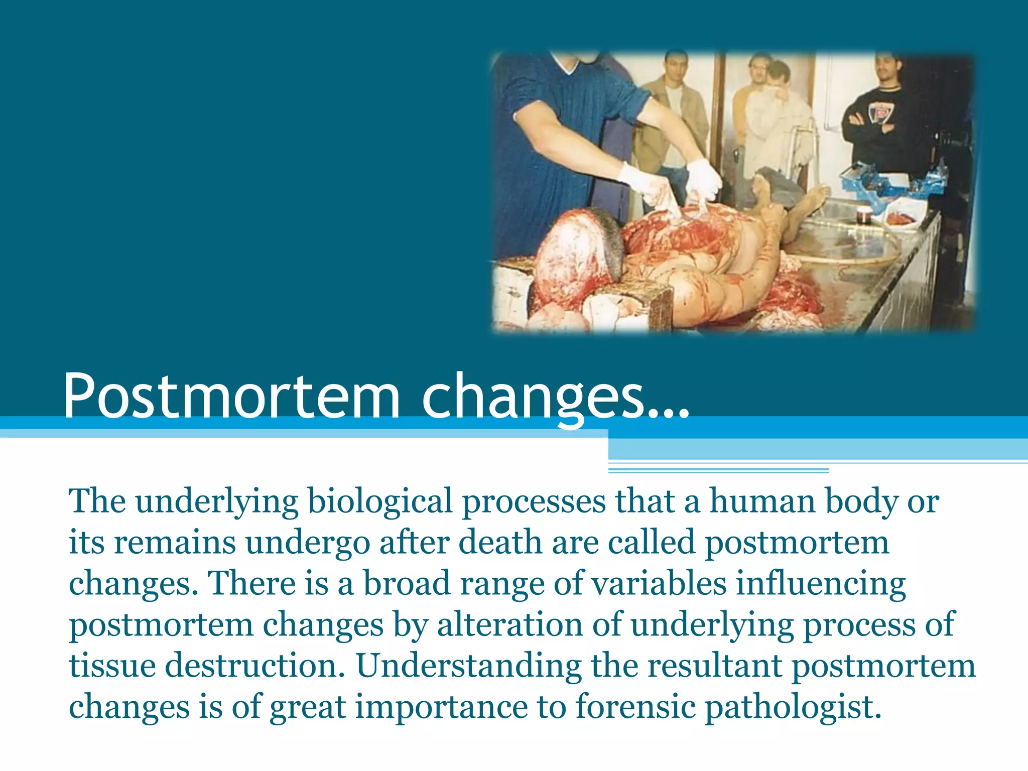 Head injuries in forensic medicine | PPS