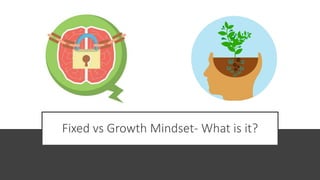 Fixed vs growth mindset | PPTX