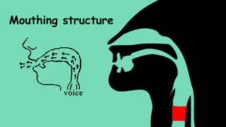 Vowels and consonants | PPT