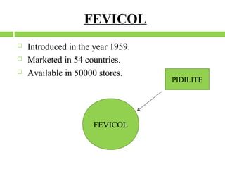 Fixing Fevicol - Case Study | PPT