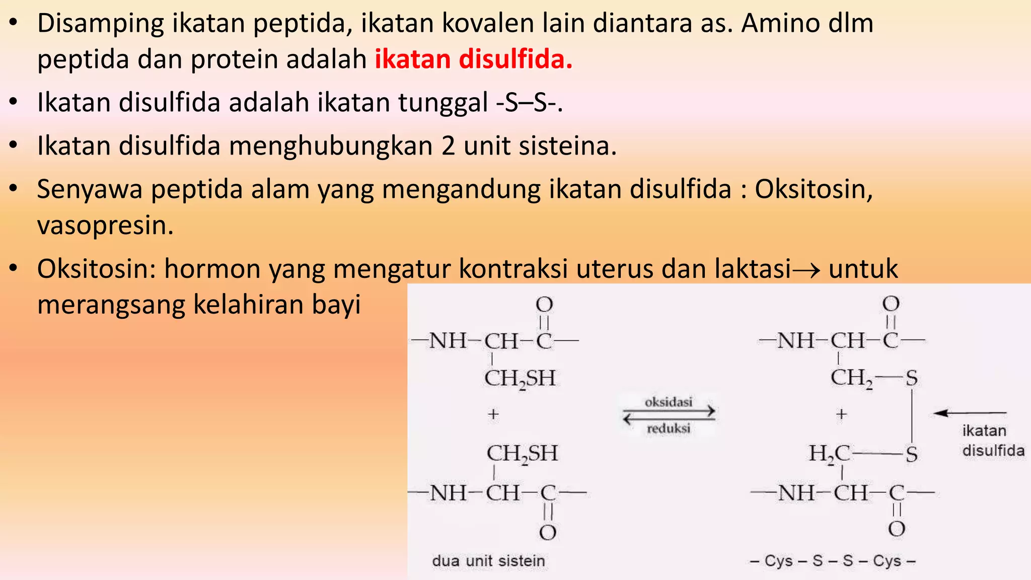 PROTEIN - KELOMPOK 12 | PPTX