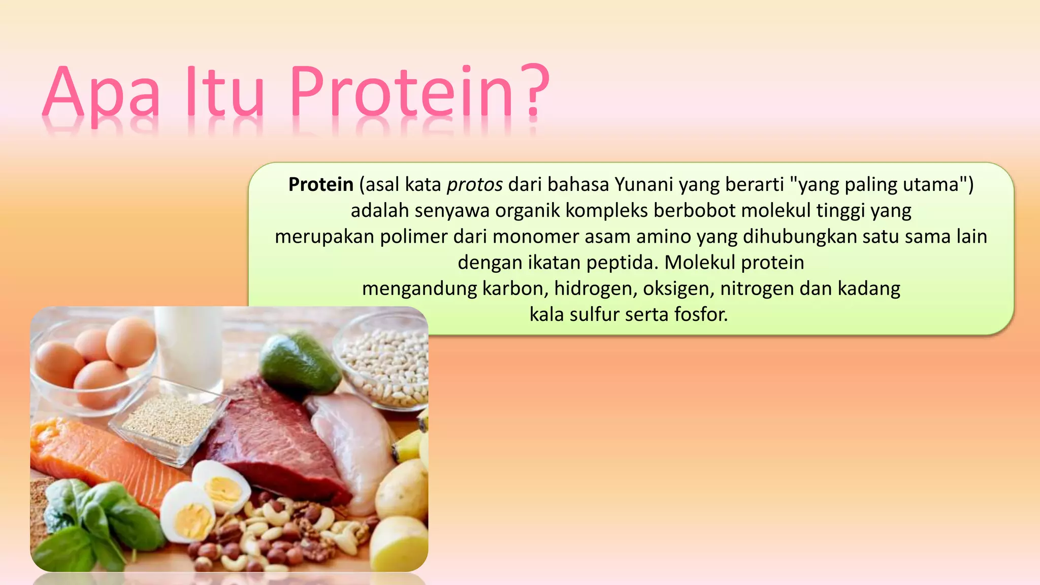 PROTEIN - KELOMPOK 12 | PPTX
