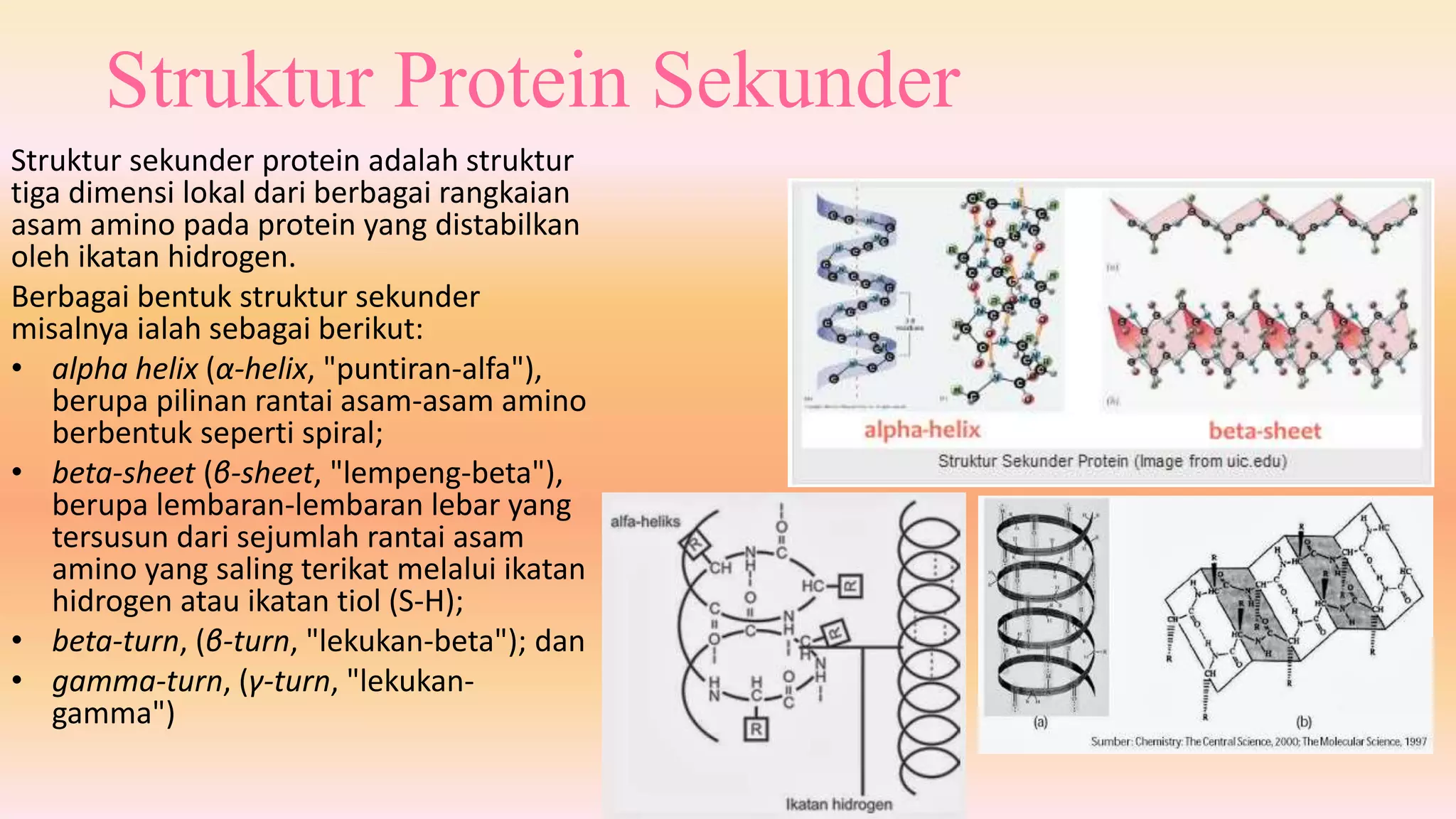 PROTEIN - KELOMPOK 12 | PPTX