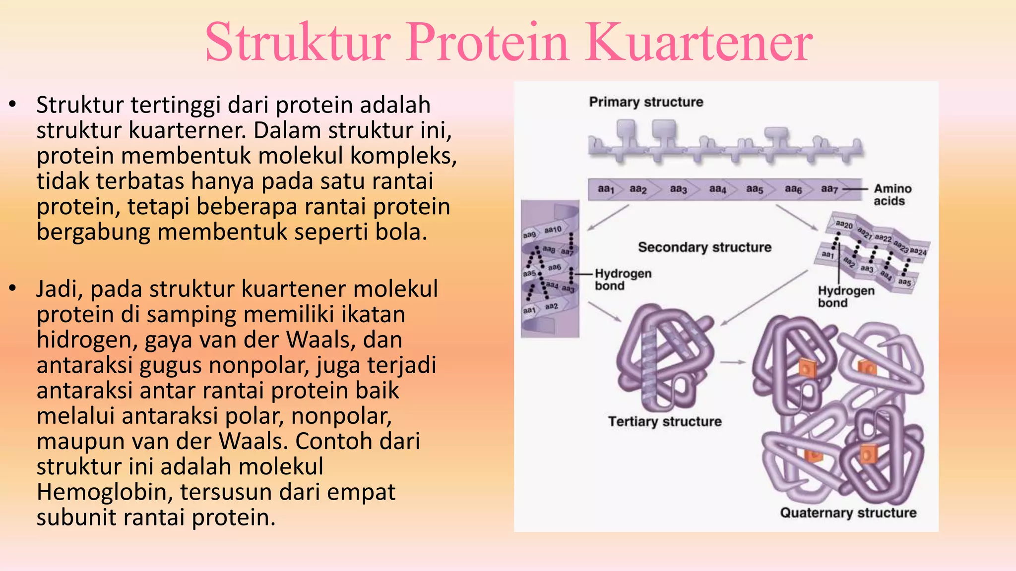 PROTEIN - KELOMPOK 12 | PPTX